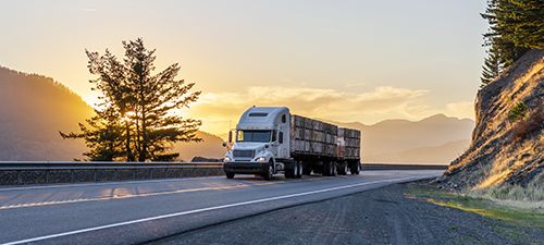 Paramount Transportation Systems